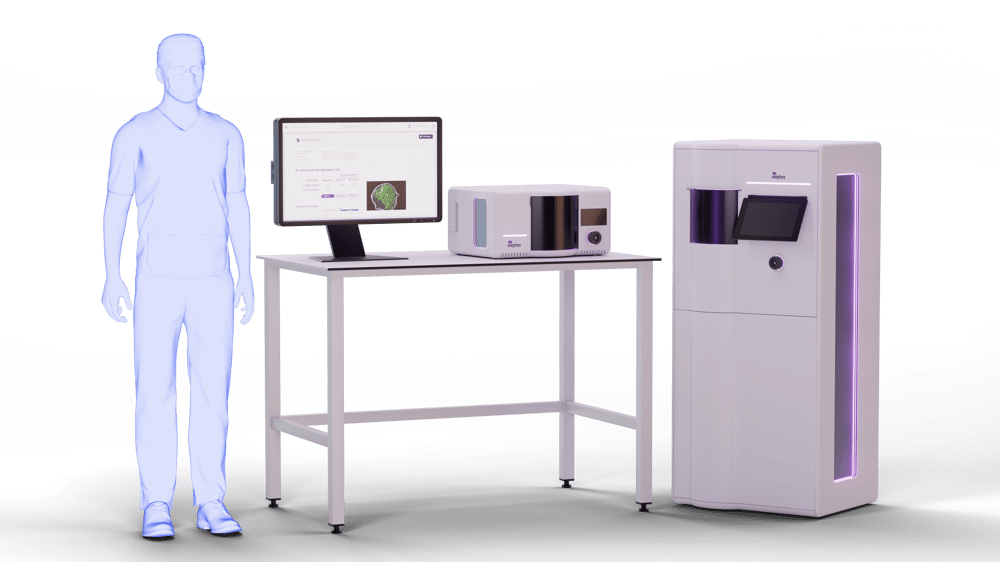 What We Do | Elephas